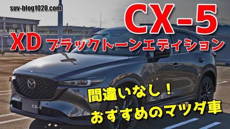 マツコネ取説 実演[安全装備編]～7世代車版～ | ページ 2 | NATTOのSUVブログ